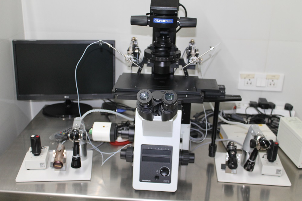 gallery – Central Hospital Jalandhar